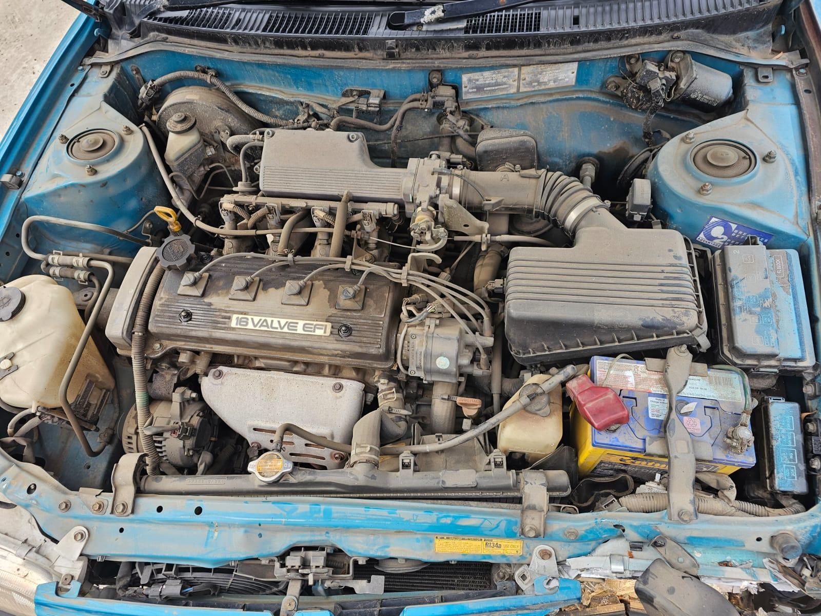 TOYOTA COROLLA AE101 05/1992-10/1999 LEFT REAR DOOR SEDAN - MMM Auto Centre